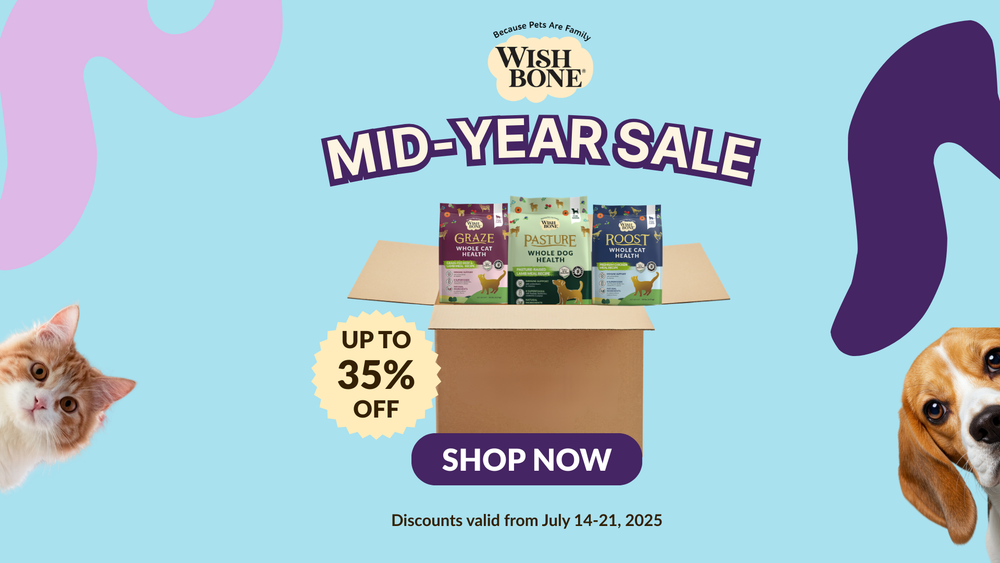 Superfoods for Super Pets: How Wishbone’s Nutrient-Rich Recipes Benefi ...